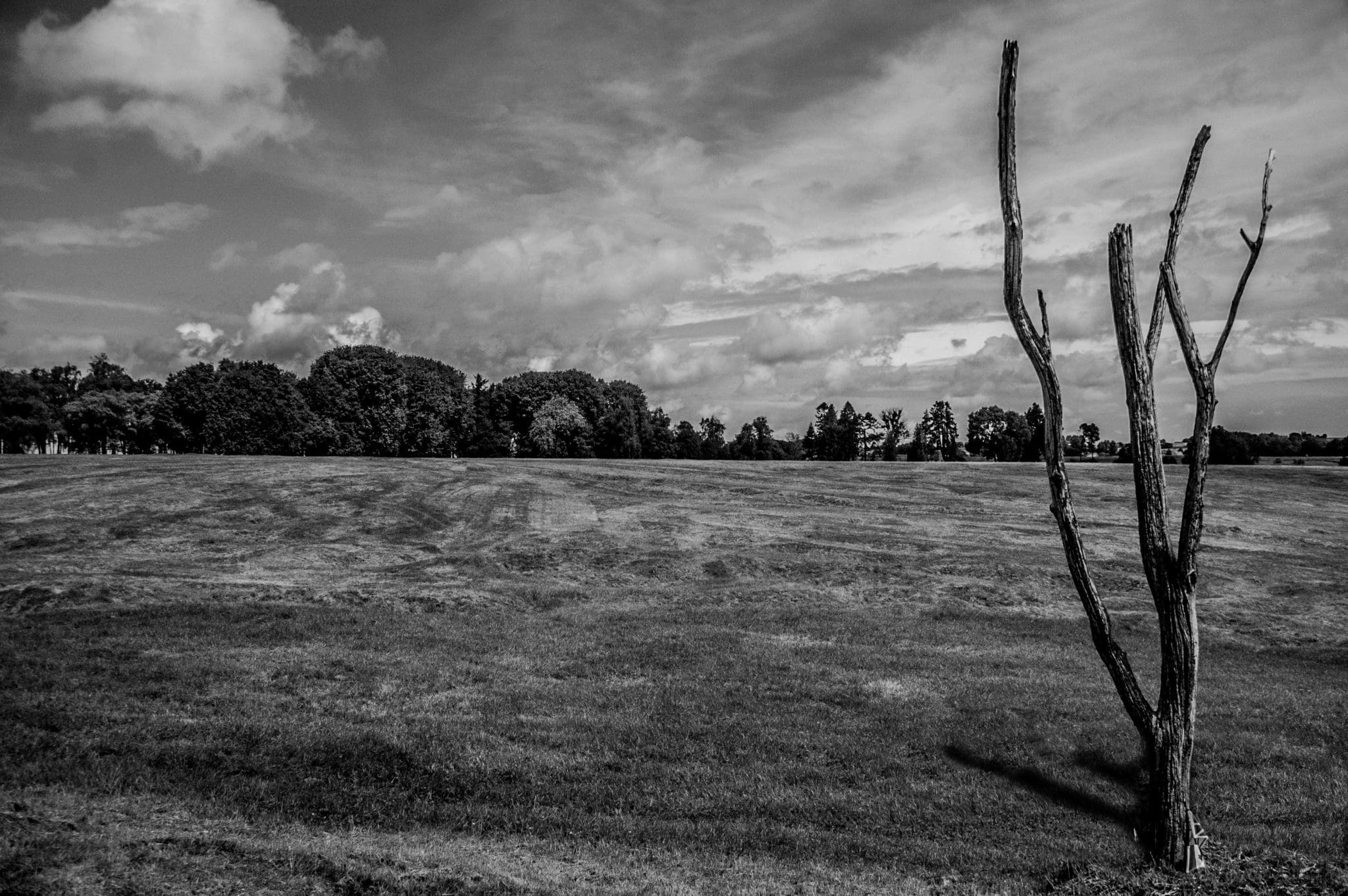 De slag aan de Somme: 5 plekken voor een brok in de keel | Reismannen